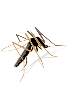 Zat van jeuk na een muggenbult? → Zo kom je van de jeuk af